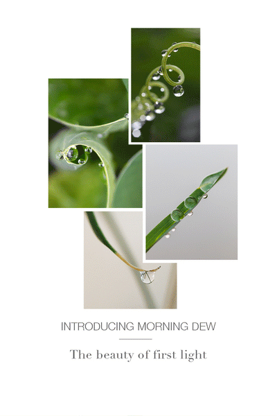 INTRODUCING: Morning Dew collection | RUIFIER